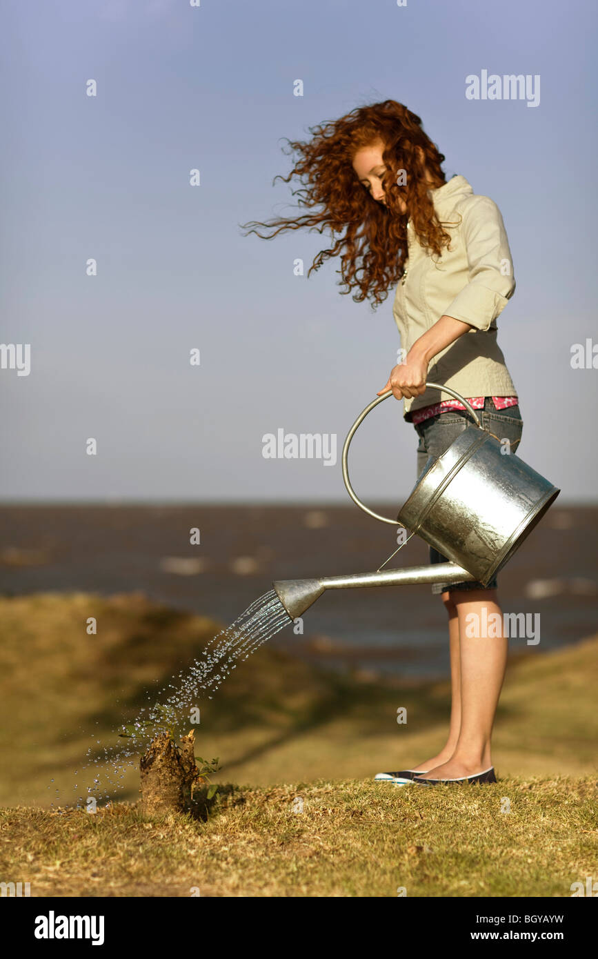 Woman watering sapling sprouting from tree stump Stock Photo - Alamy