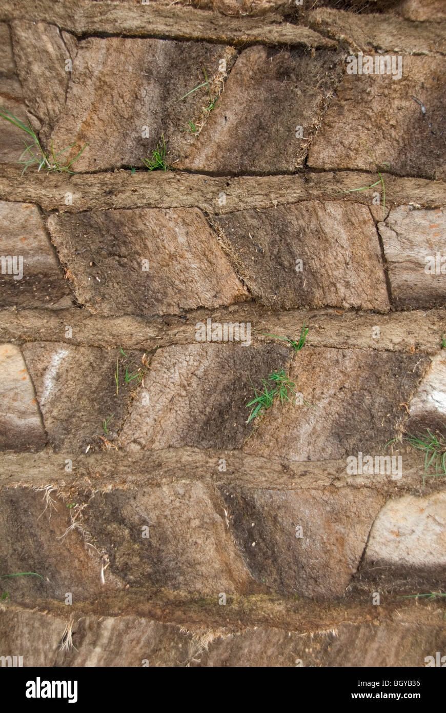 Peat ground hi-res stock photography and images - Alamy