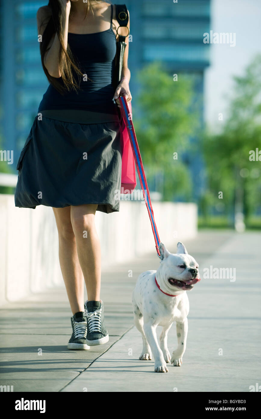 Young woman walks dogs on hi-res stock photography and images - Alamy