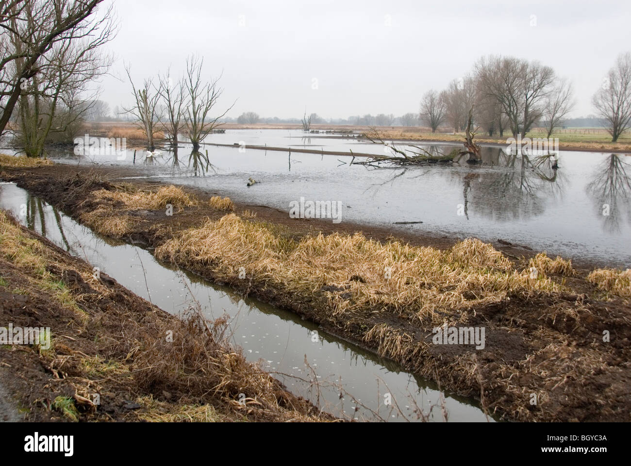 Peine lower saxony german hi-res stock photography and images - Alamy