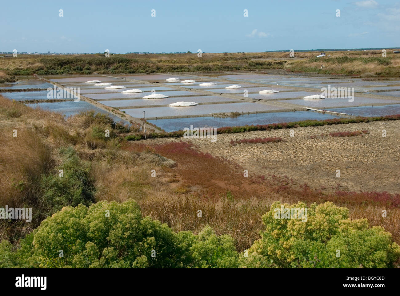 Marshes brittany hi-res stock photography and images - Alamy