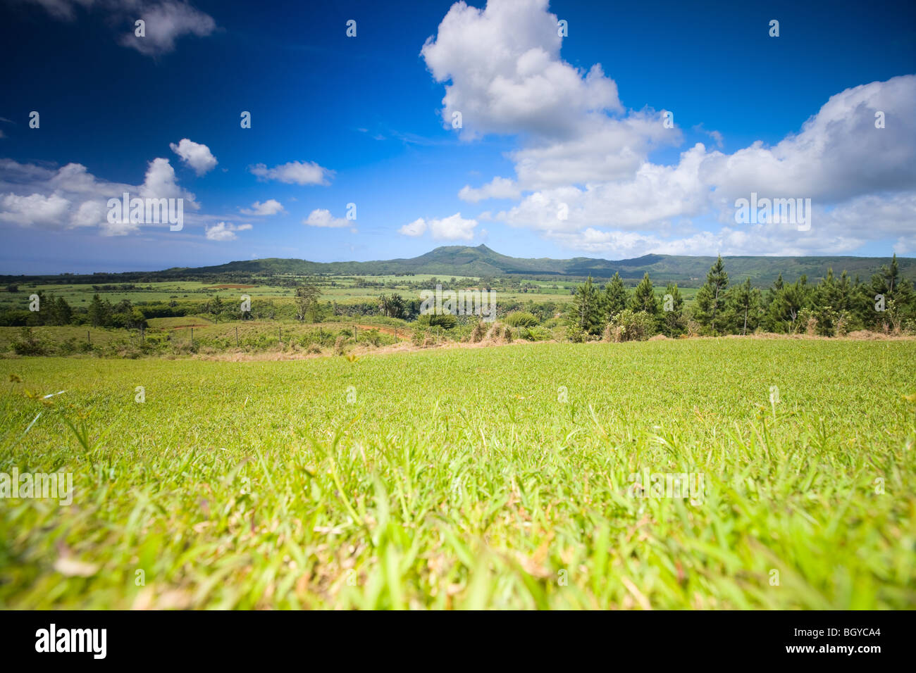 Blue waters mauritius hi-res stock photography and images - Alamy