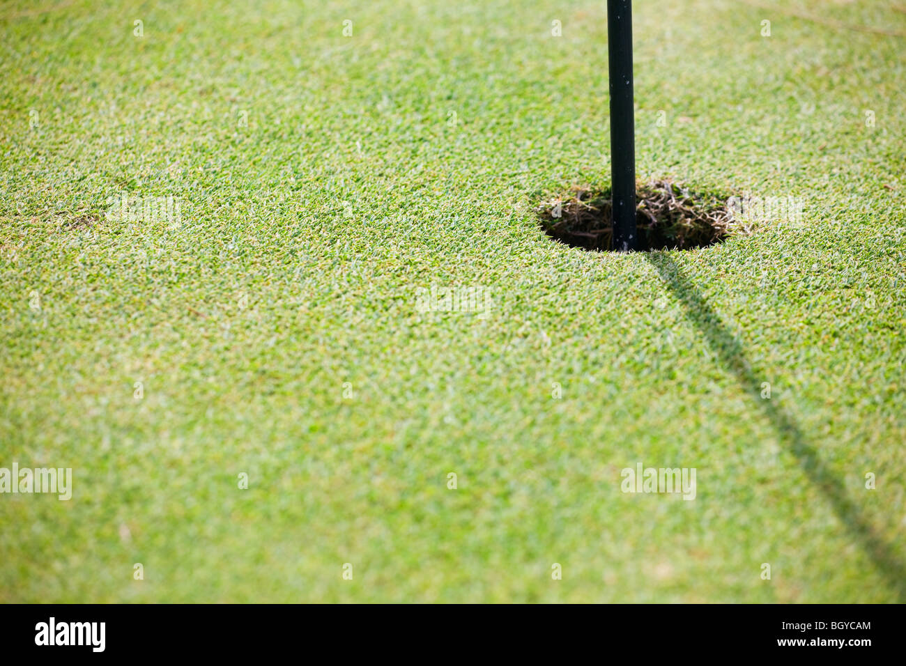 Golfing skills hi-res stock photography and images - Alamy