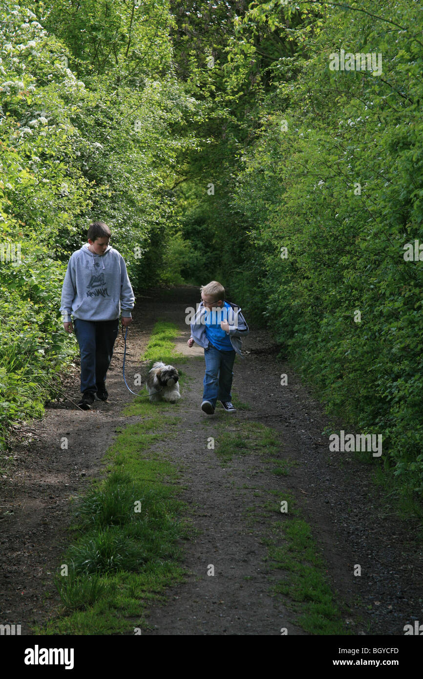 Children kids walking the dog in the woods hi-res stock photography and ...