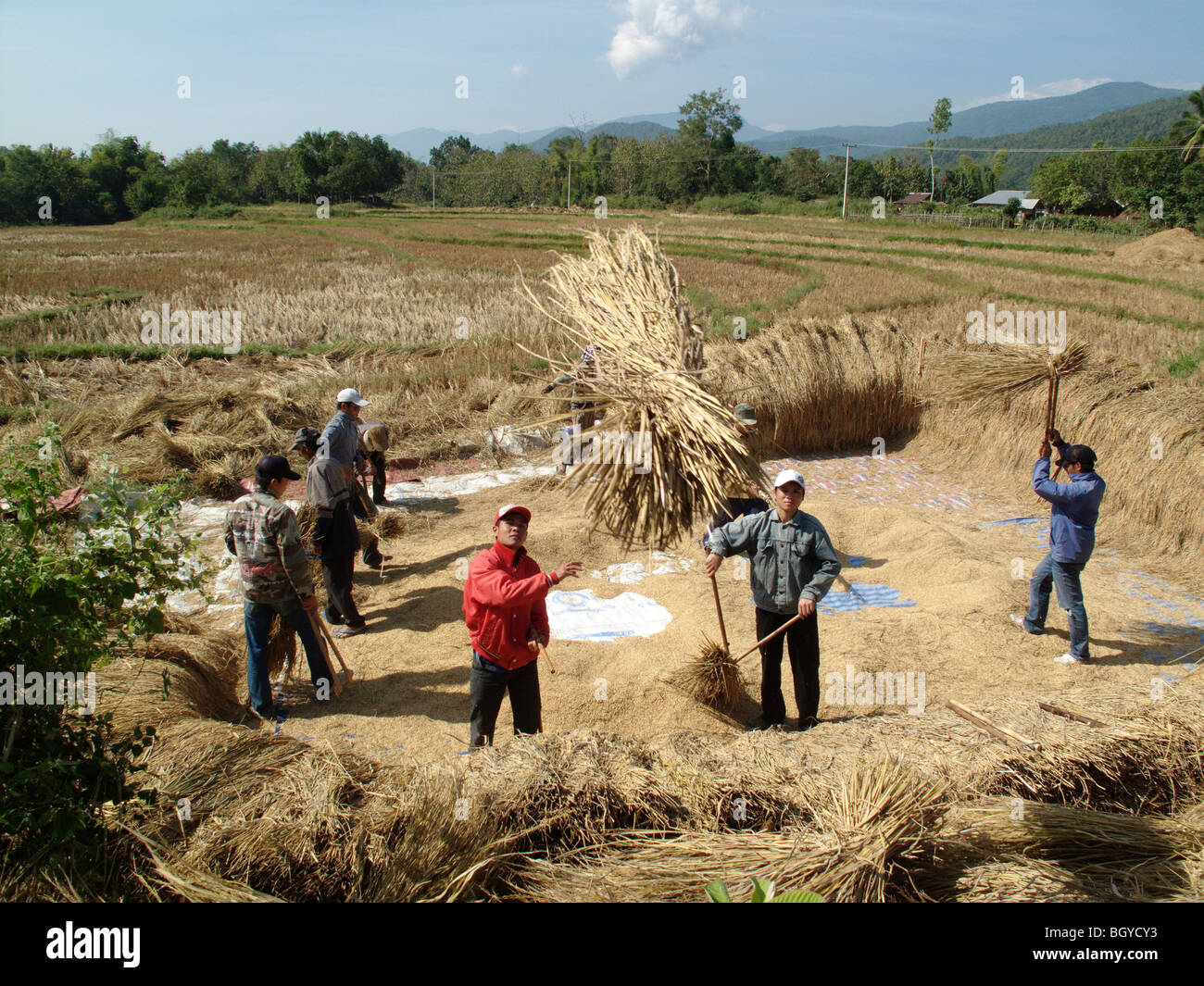 Thresh Corn Stock Photos & Thresh Corn Stock Images - Alamy
