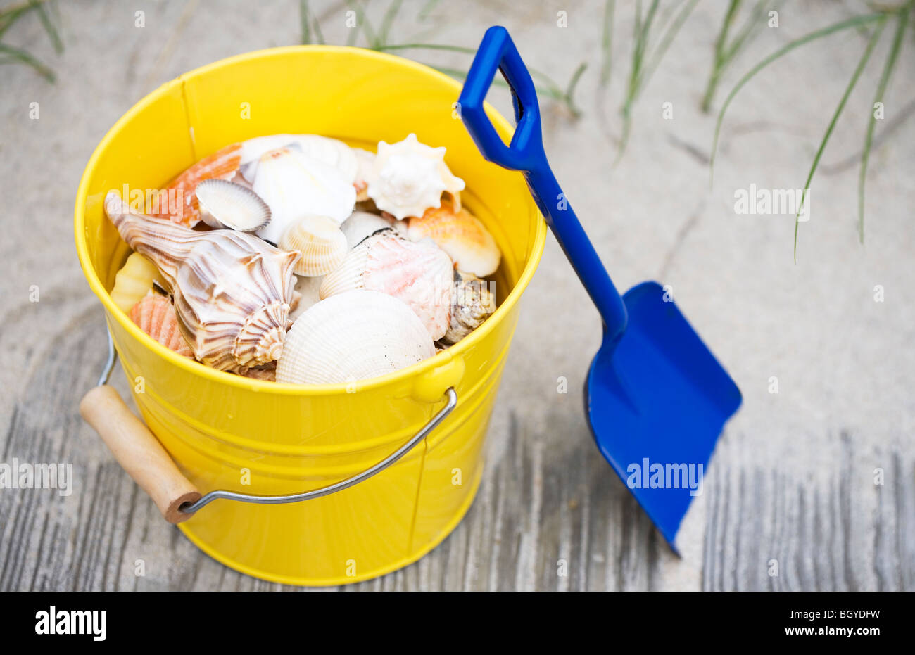 Beach shovel and pail of shells Stock Photo - Alamy