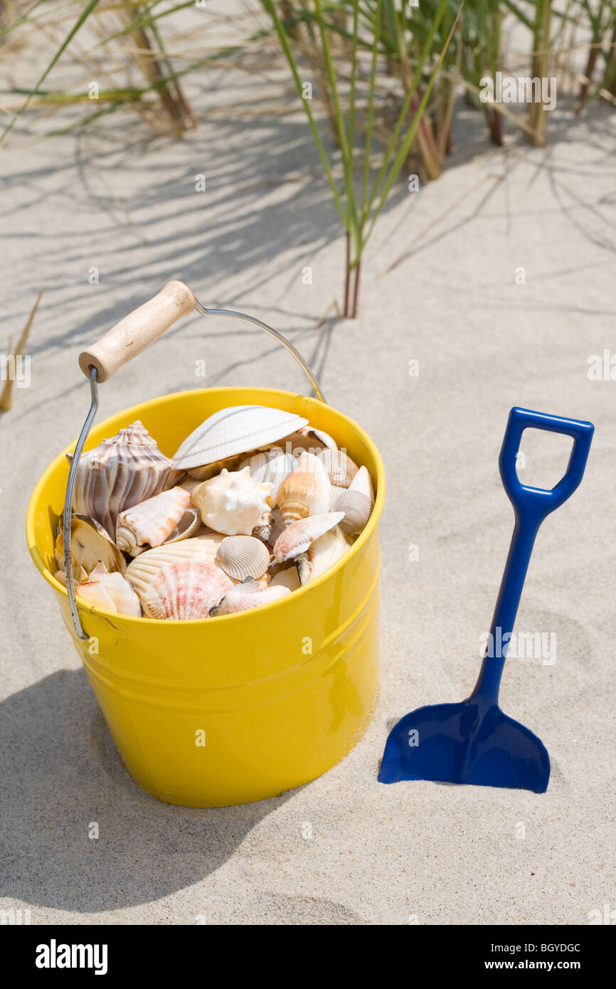 Beach shovel and pail of shells Stock Photo - Alamy