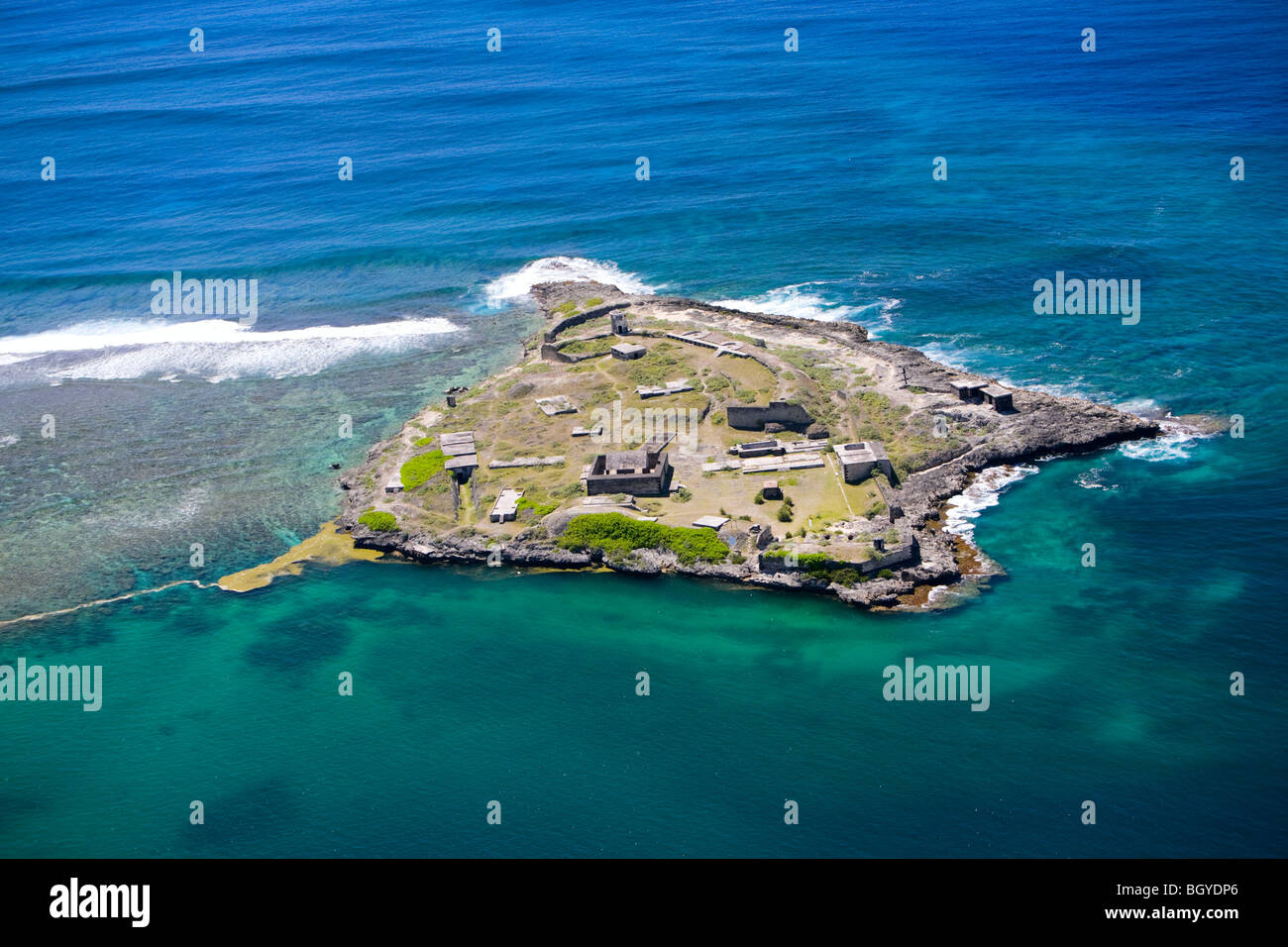 Height of coral reefs hi-res stock photography and images - Alamy
