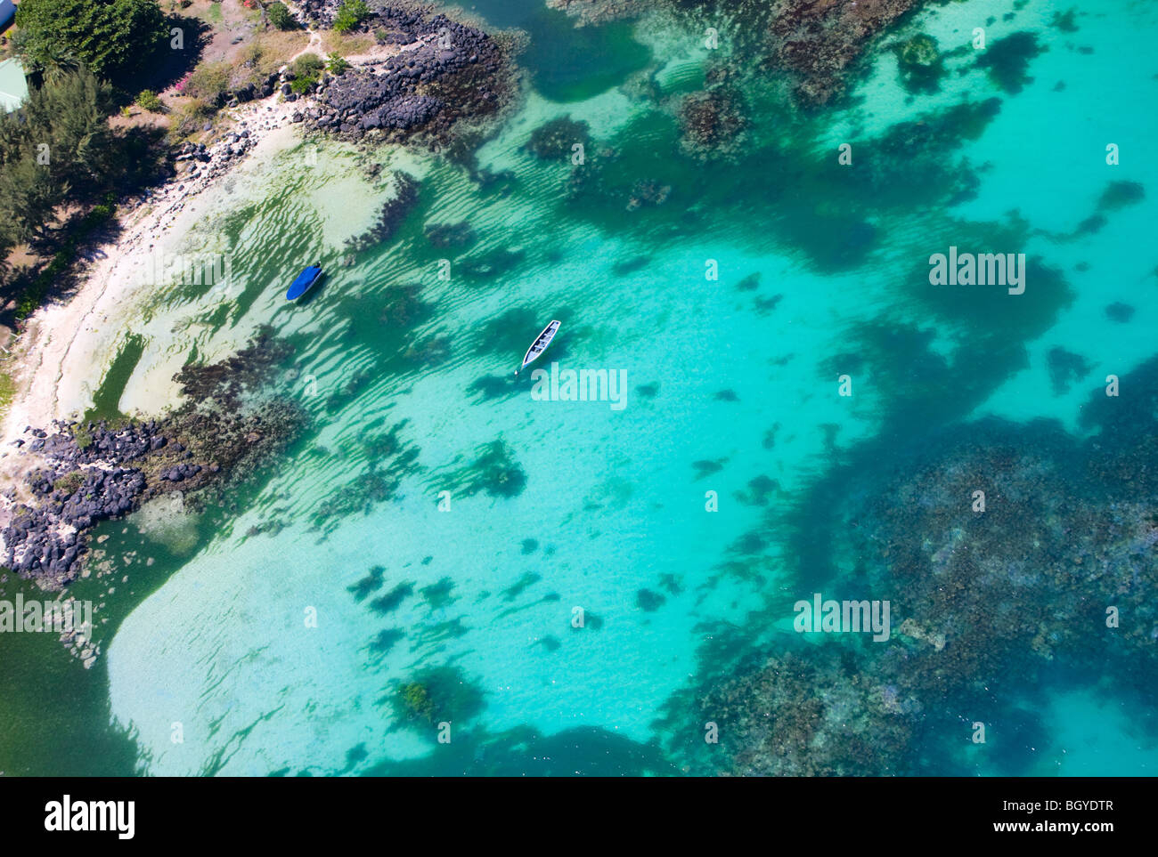 Height Of Coral Reefs High Resolution Stock Photography and Images - Alamy