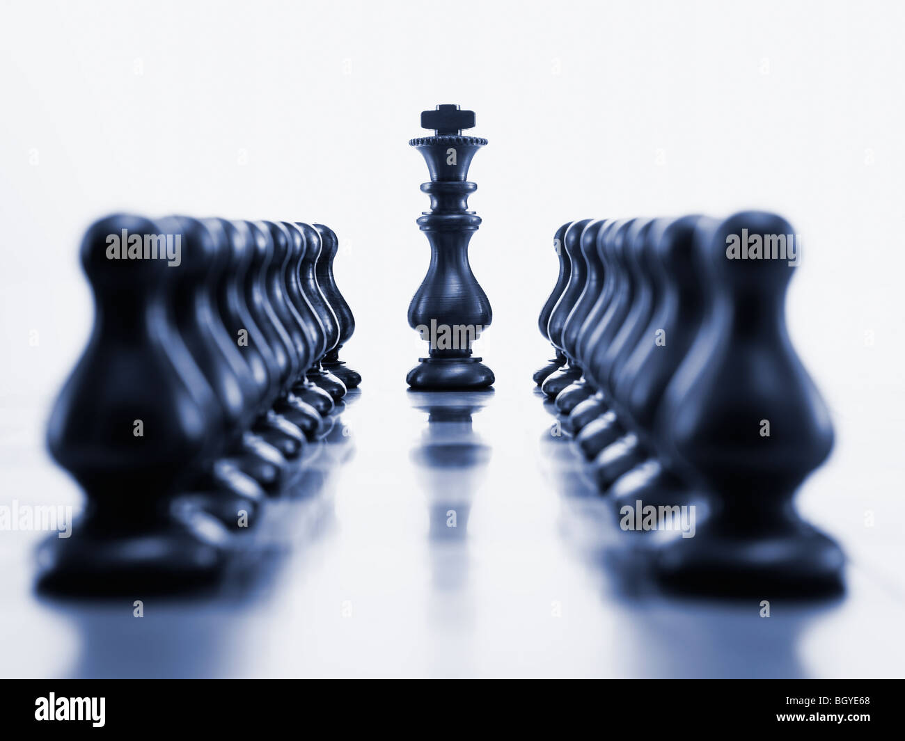 The chess hi-res stock photography and images - Alamy