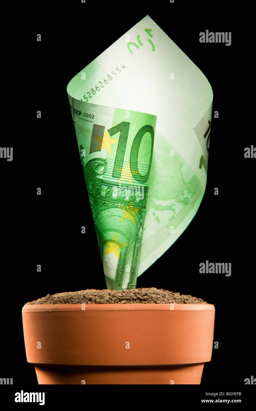 Money plant pot hi-res stock photography and images - Alamy