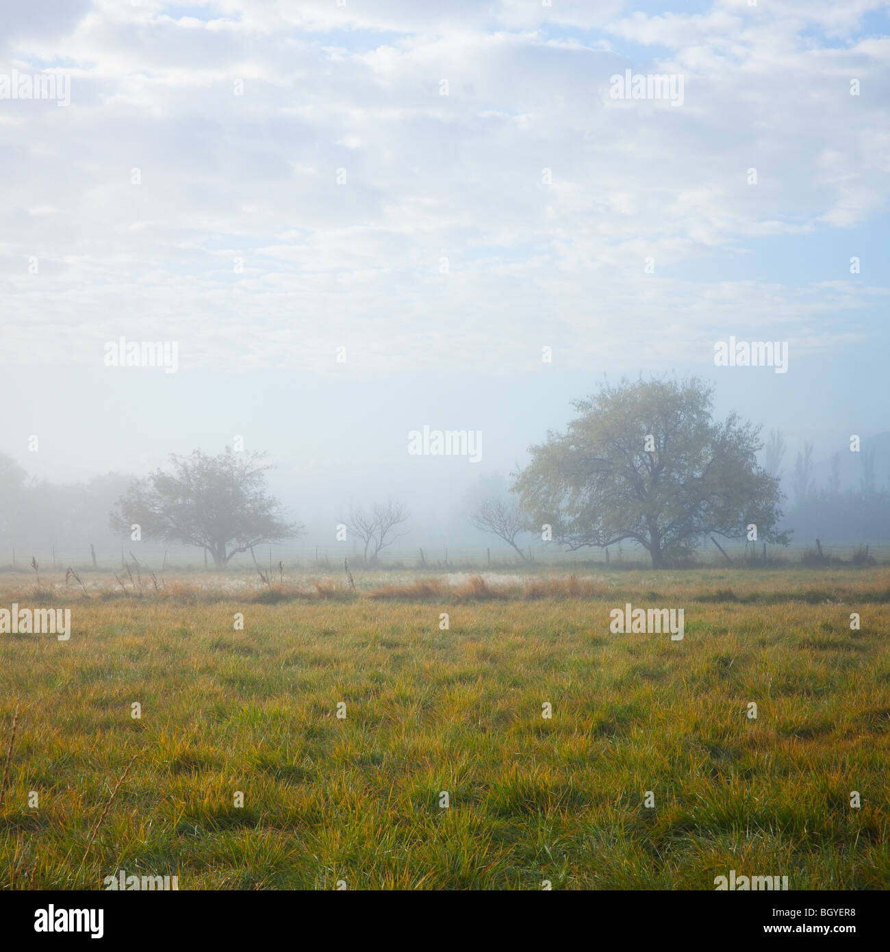 Fog in field Stock Photo - Alamy