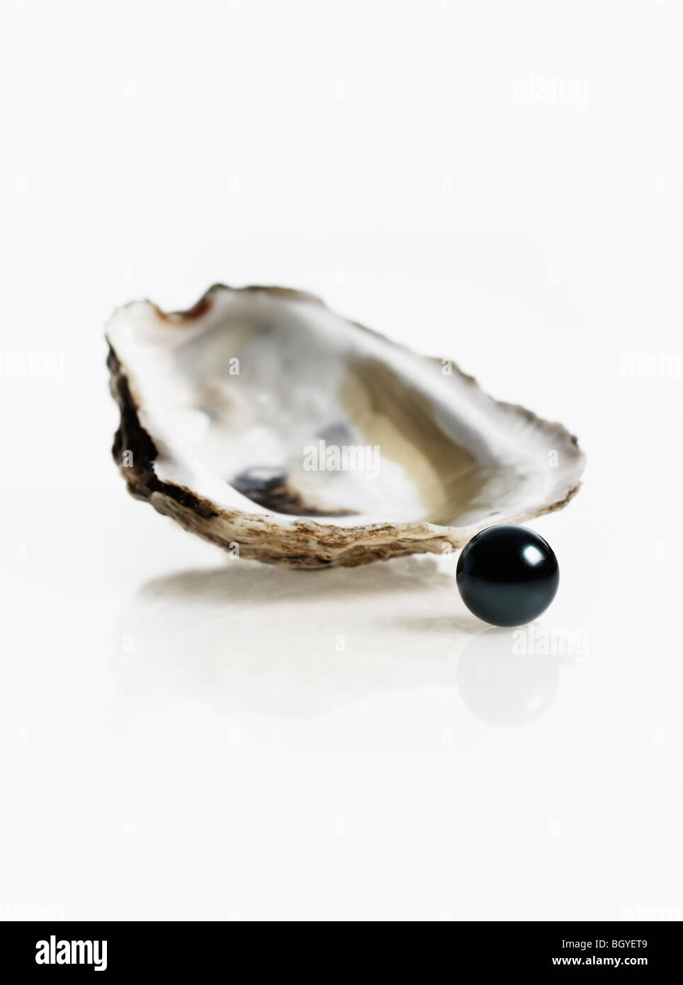 Open oyster with pearl hi-res stock photography and images - Alamy