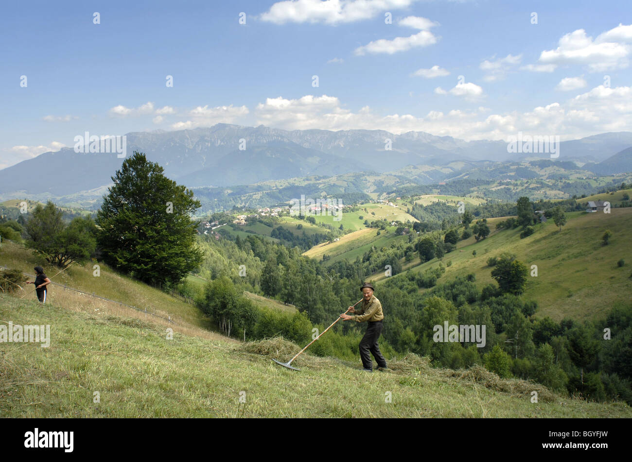 people mowing in pestera village, close to the famous bran castle in ...
