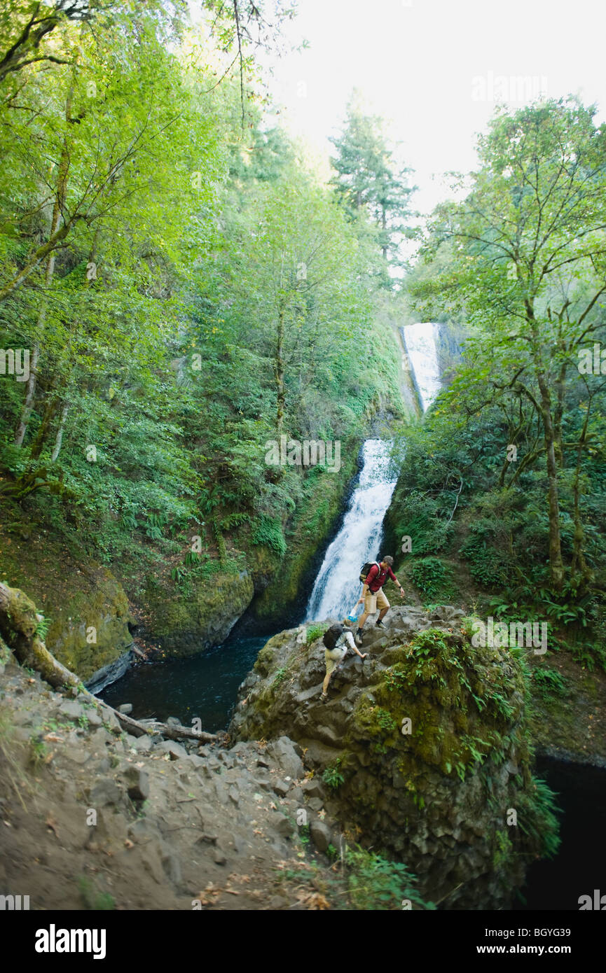 Trees in front waterfall hi-res stock photography and images - Alamy