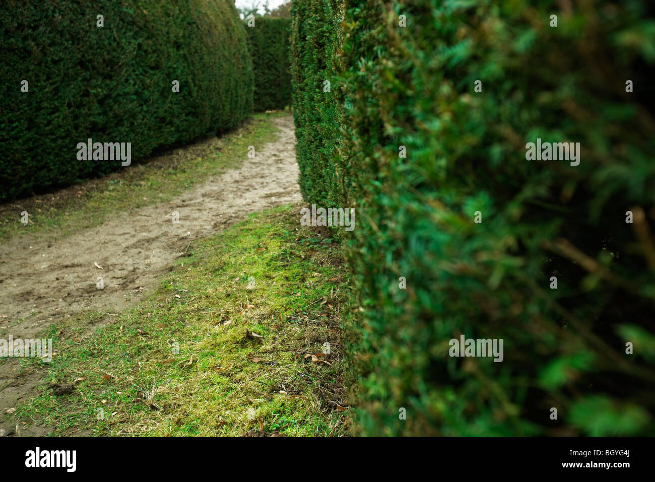 Garden cropped hedges no people hi-res stock photography and images - Alamy