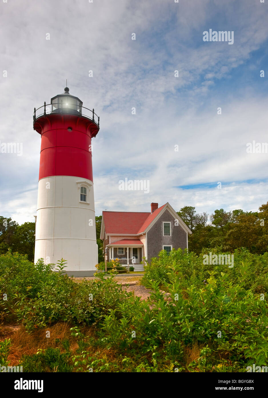 Lighthouse with trees hi-res stock photography and images - Alamy