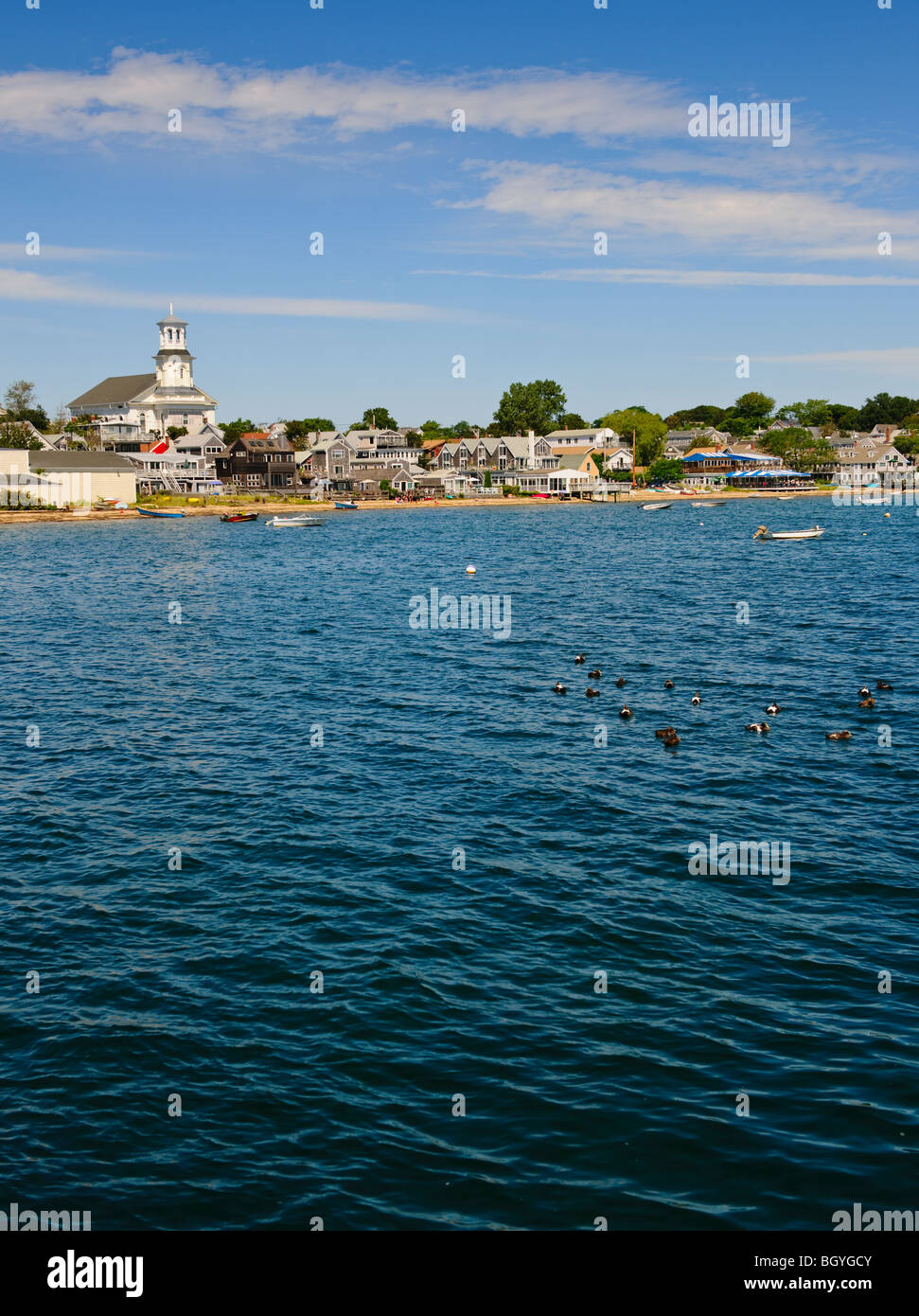 Waterfront ducks hi-res stock photography and images - Alamy