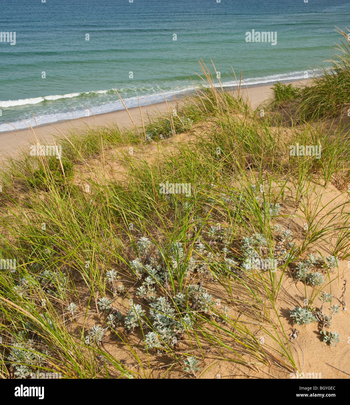 Shore beach waves sand grass hi-res stock photography and images - Alamy