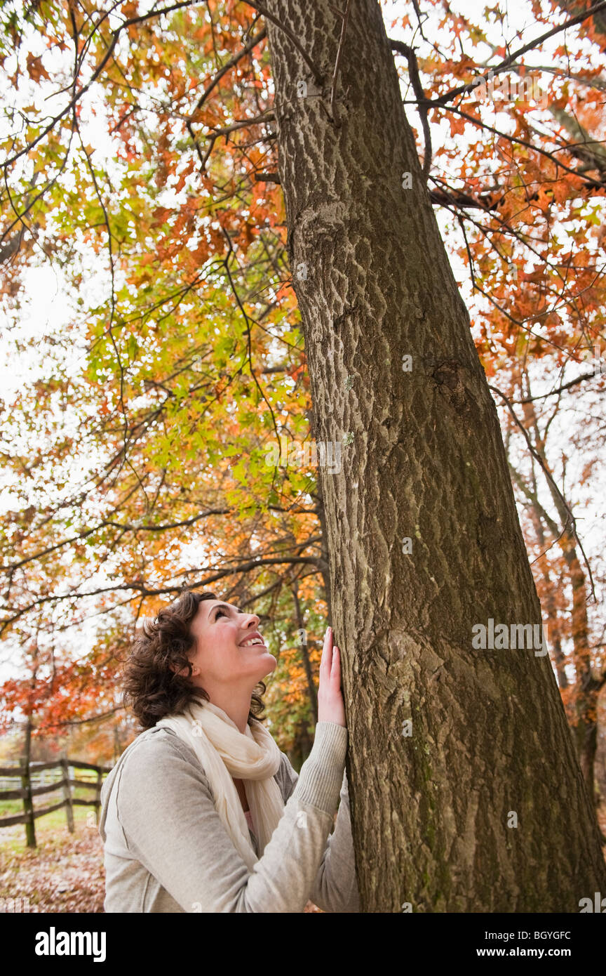 Leaf barricade hi-res stock photography and images - Alamy