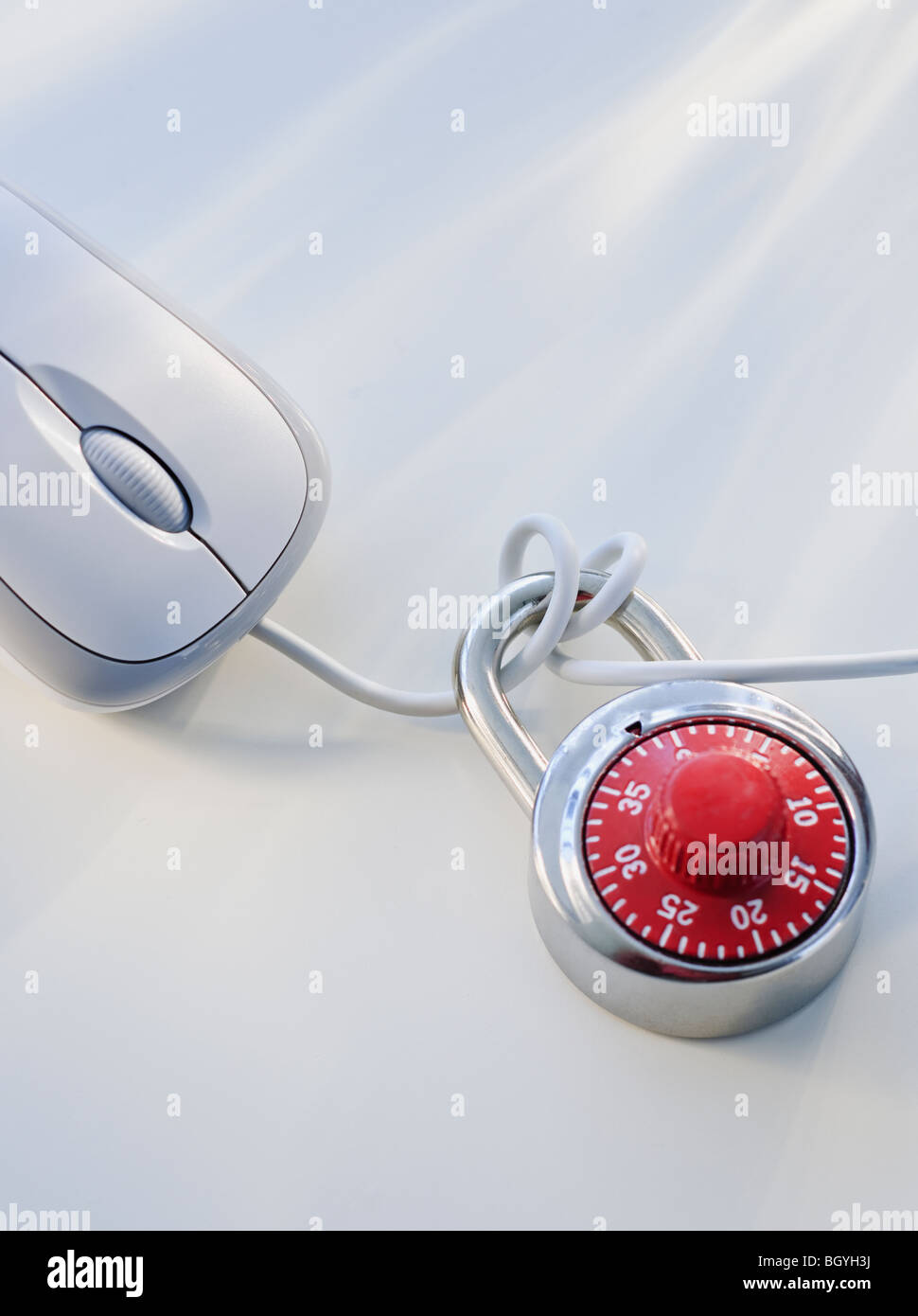 Computer Mouse Lock at Lynda Tawney blog