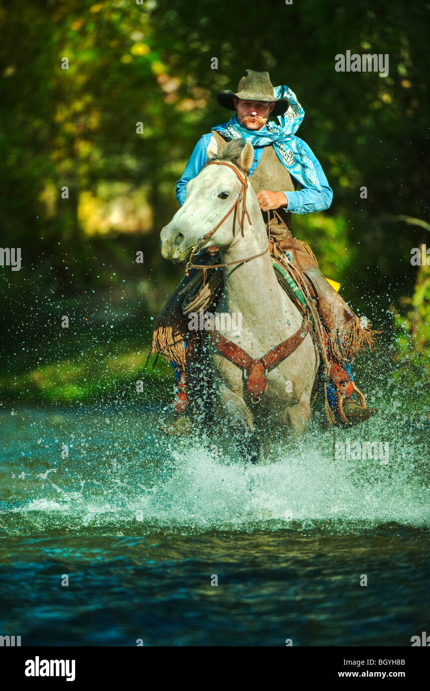Riding horse through water Stock Photo - Alamy