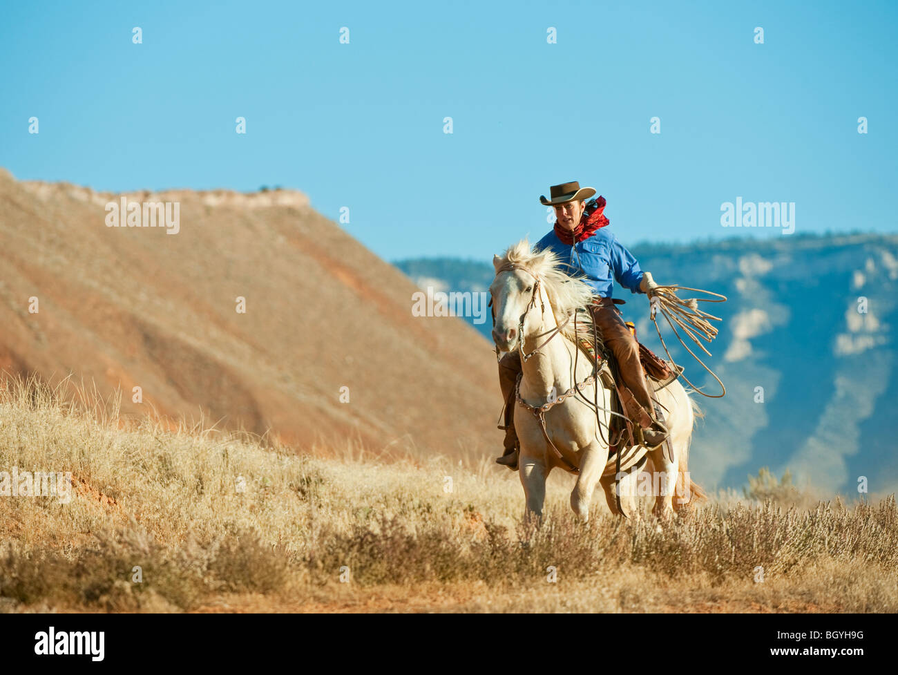 Teen teenager teenage cowboy lasso hi-res stock photography and images ...