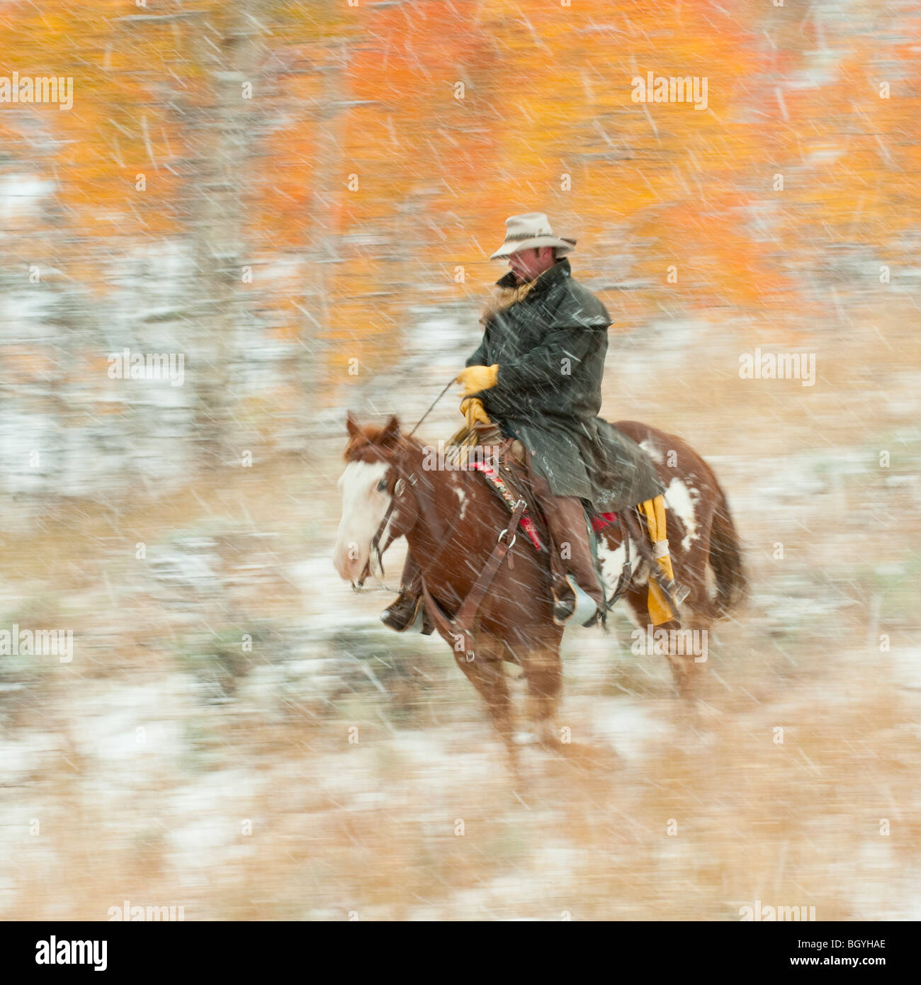 Horseback rider in rain Stock Photo - Alamy