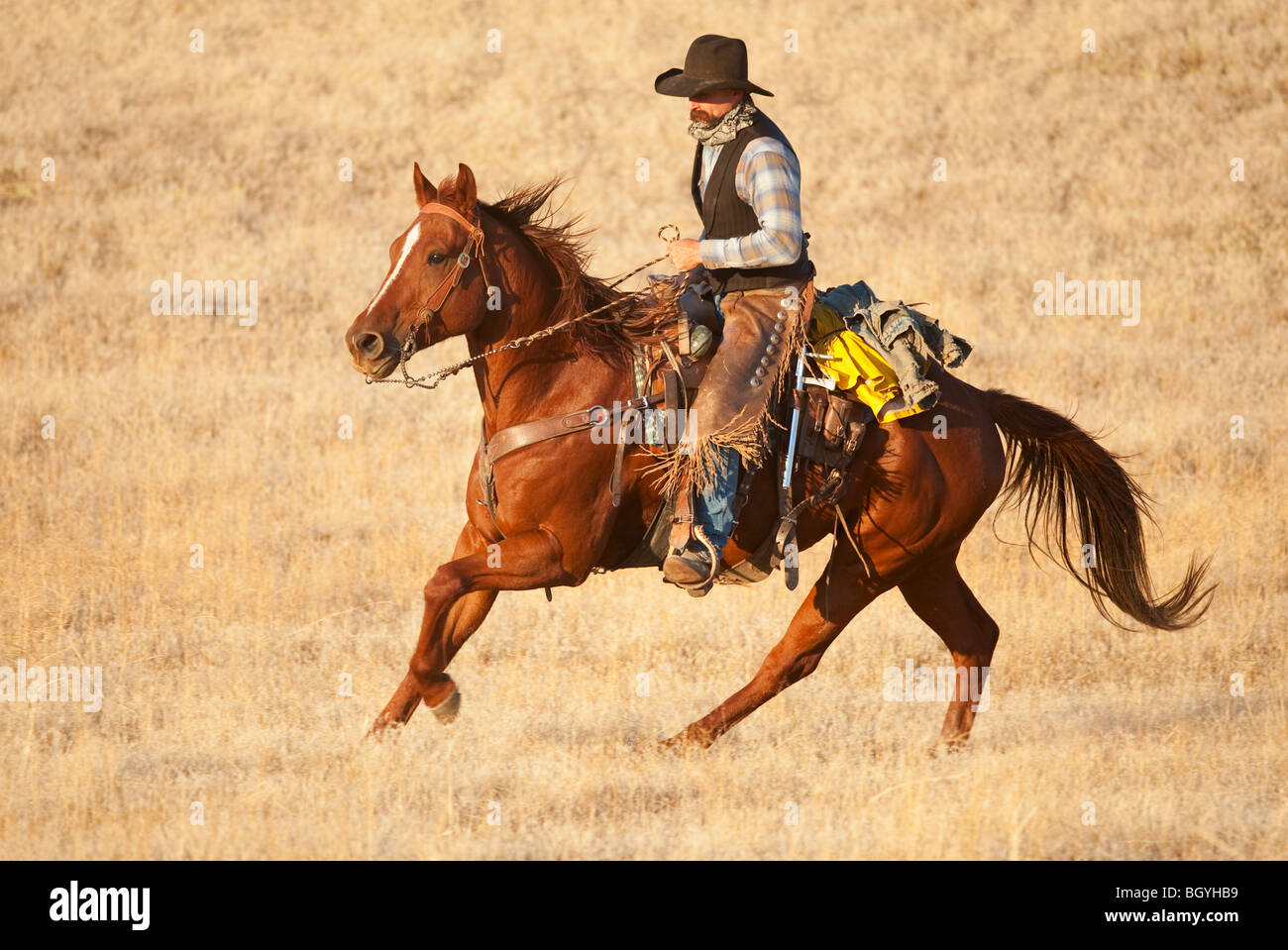 Semi rider hi-res stock photography and images - Alamy