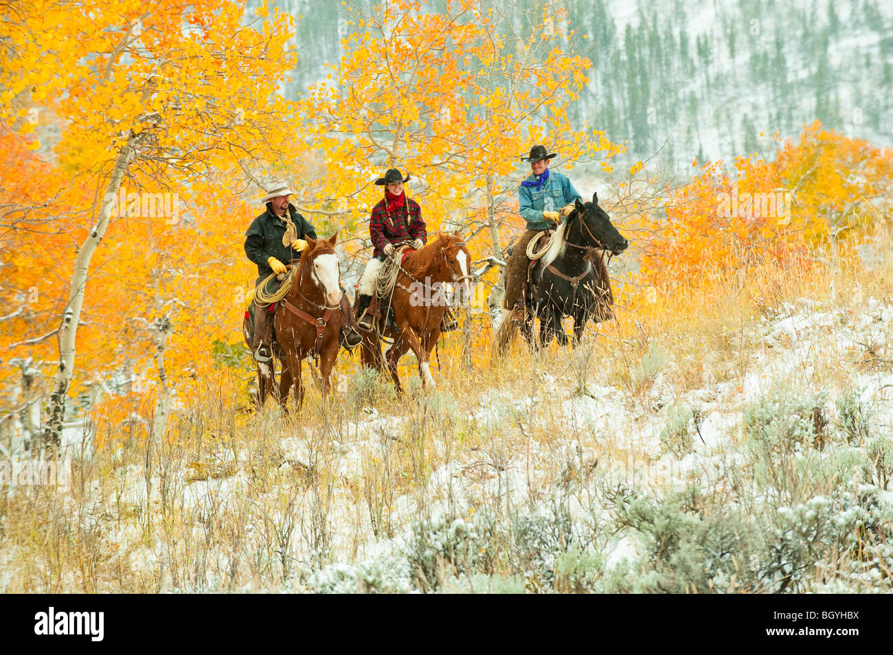 Group of three female horse riders hi-res stock photography and images ...