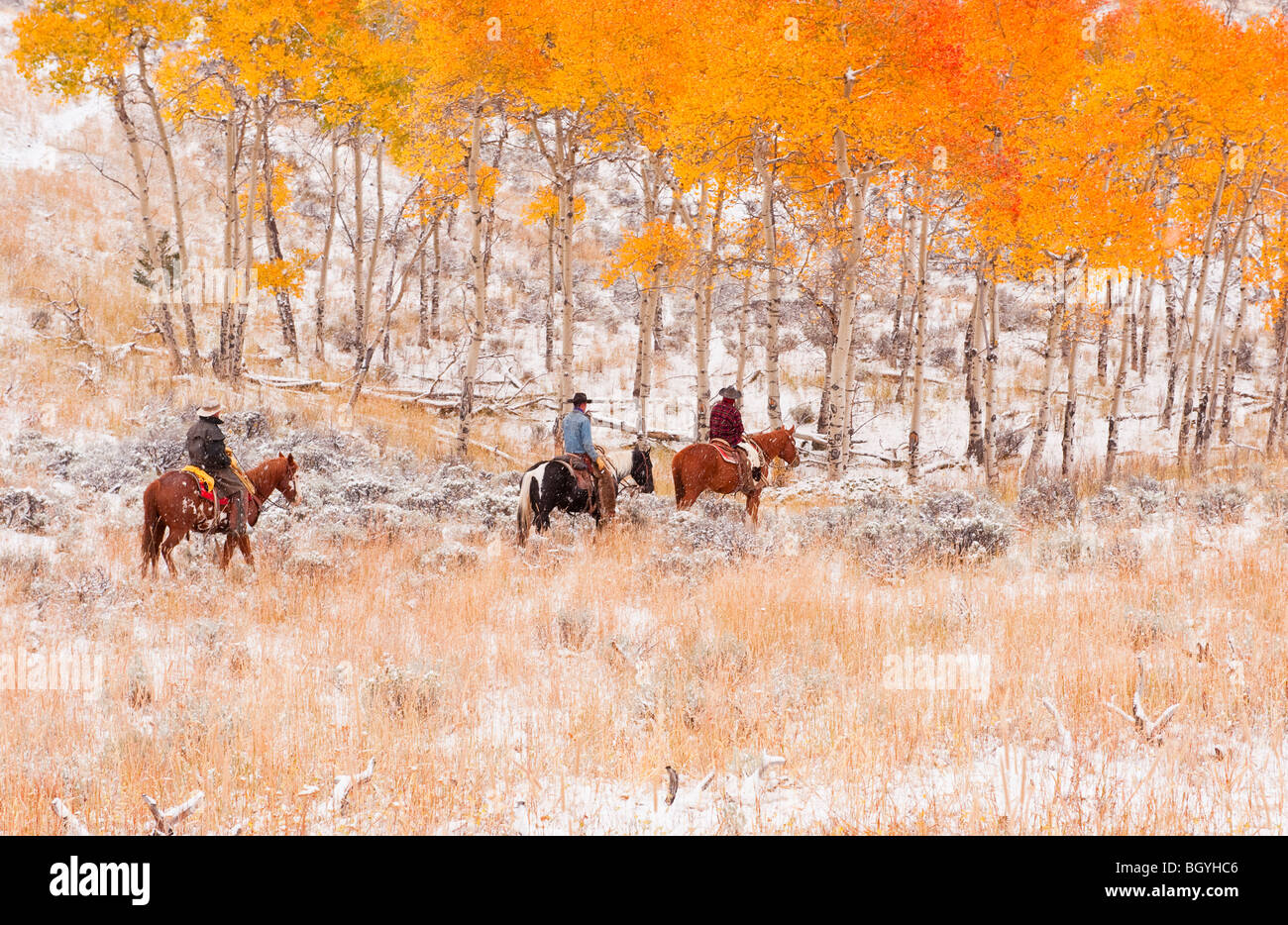 Group of three female horse riders hi-res stock photography and images ...