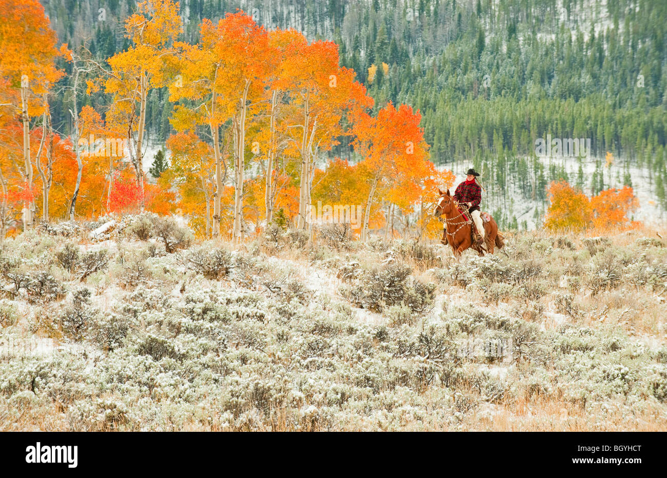 Cowboys in snow hi-res stock photography and images - Alamy