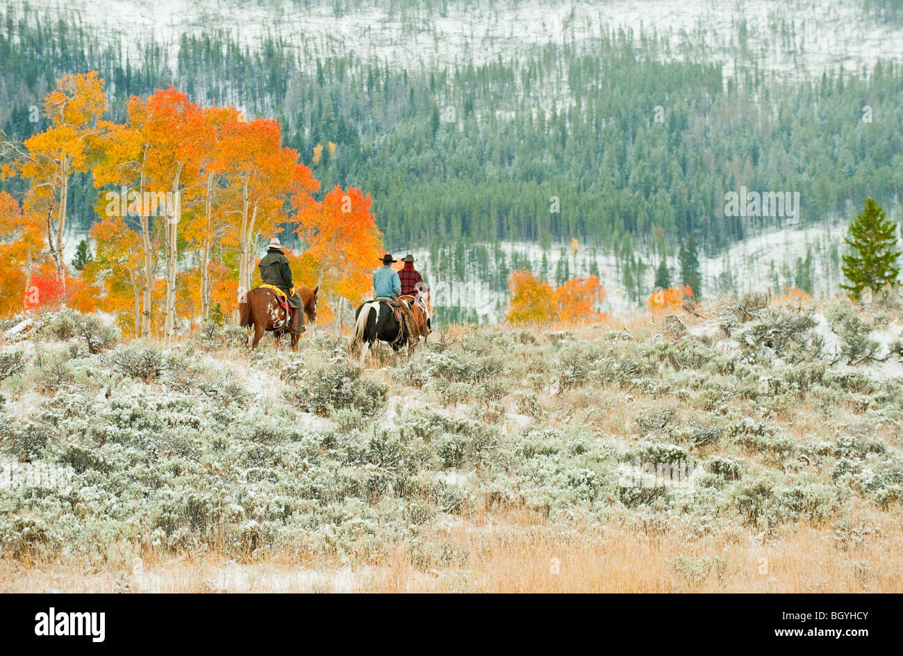 Group of three female horse riders hi-res stock photography and images ...