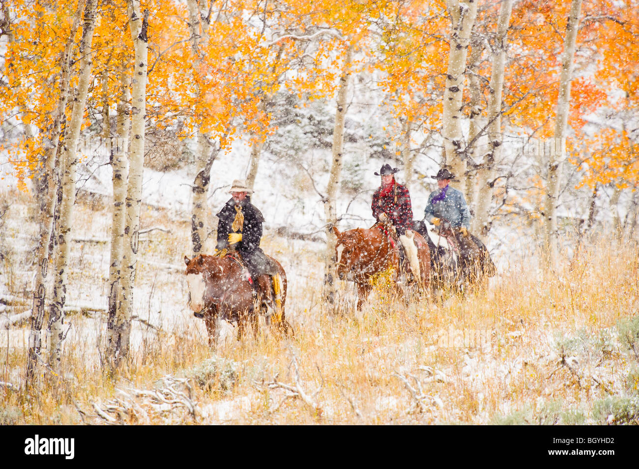 Riders images hi-res stock photography and images - Alamy