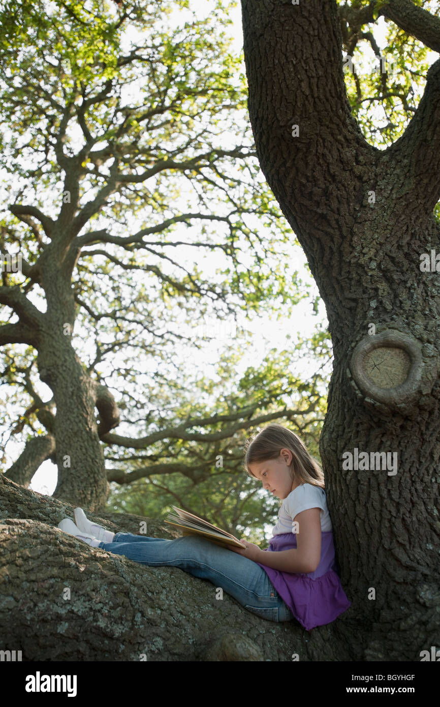 Girl reading book in tree Stock Photo - Alamy