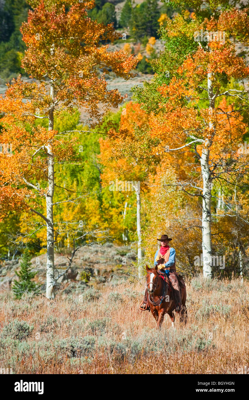 Rider fall hi-res stock photography and images - Alamy