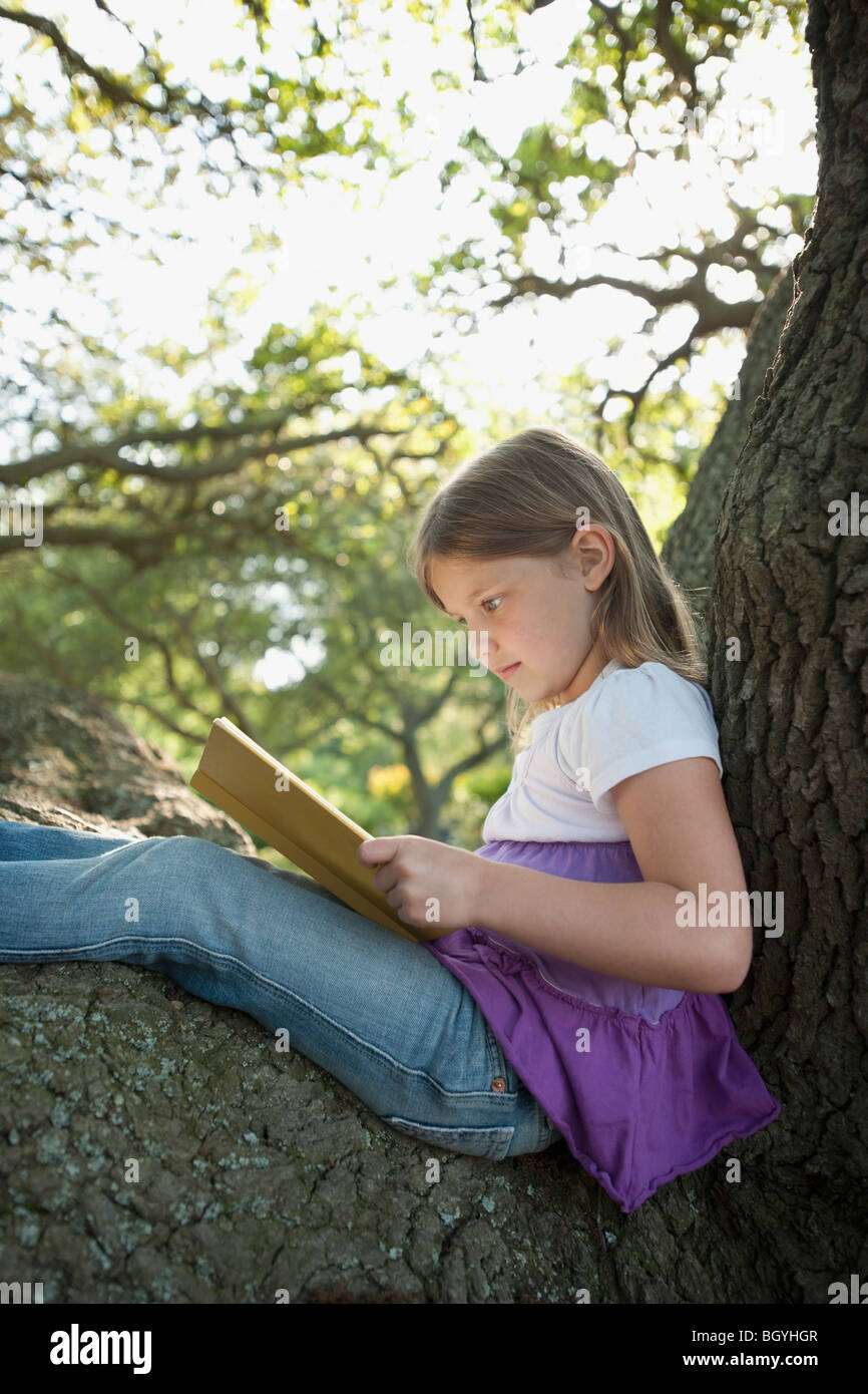 Girl reading book in tree Stock Photo - Alamy