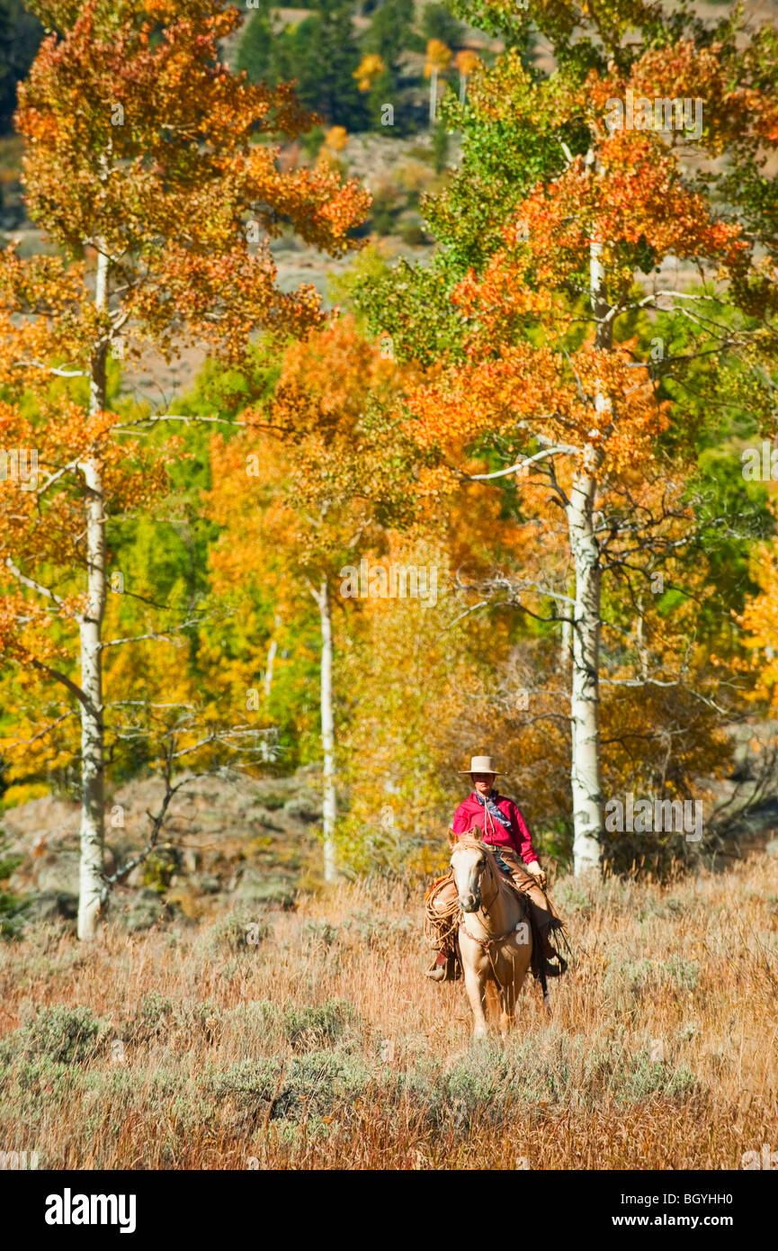 Fall foliage with horse and rider hi-res stock photography and images ...