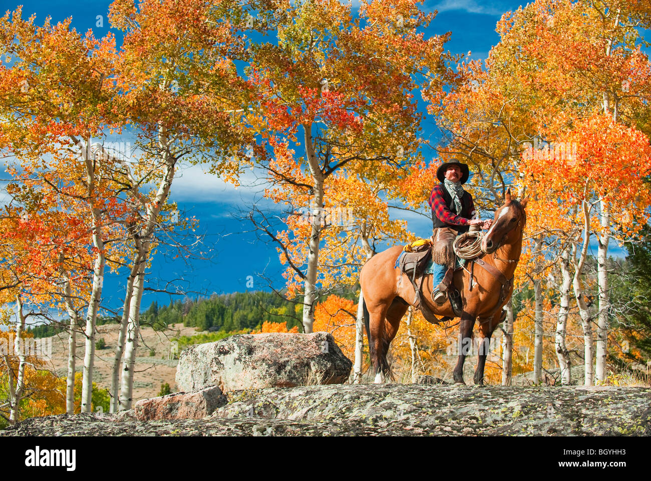 Fall foliage with horse and rider hi-res stock photography and images ...