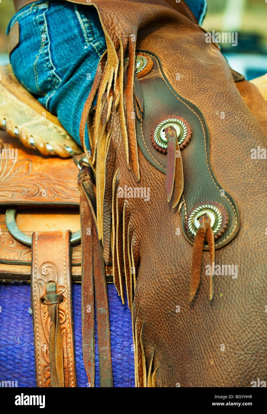 Leather chaps hi-res stock photography and images - Alamy
