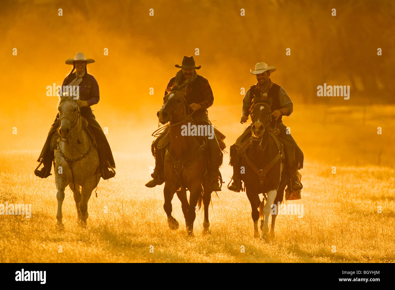 Group of three female horse riders hi-res stock photography and images ...