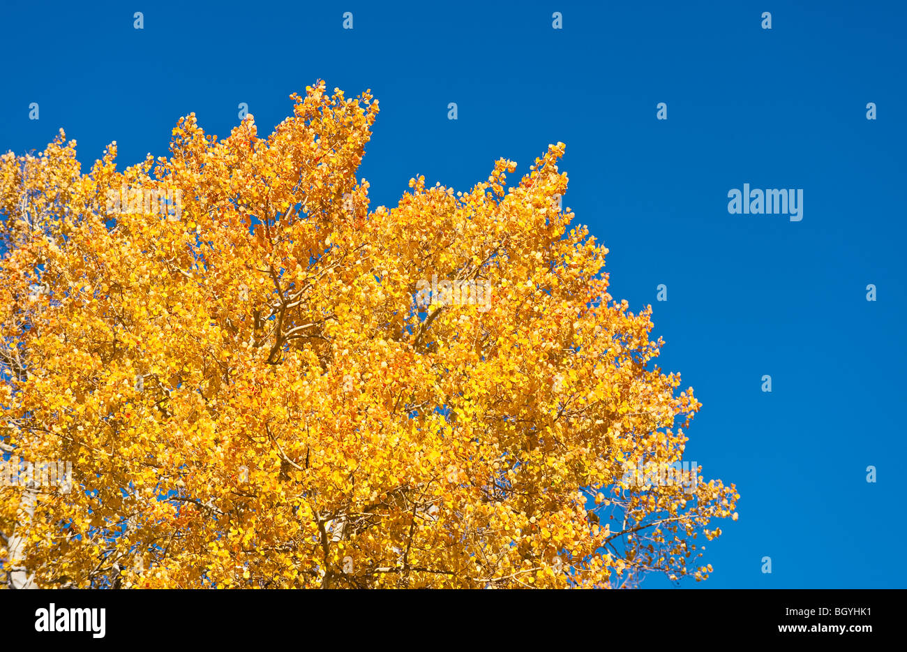 Fall skies blue hi-res stock photography and images - Alamy