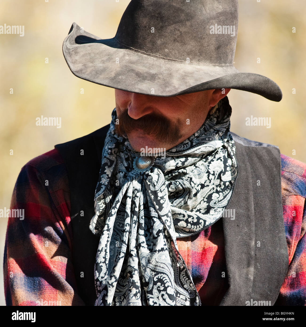 Working cowboy hi-res stock photography and images - Alamy
