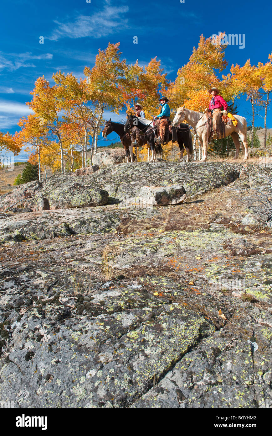 Group of three female horse riders hi-res stock photography and images ...