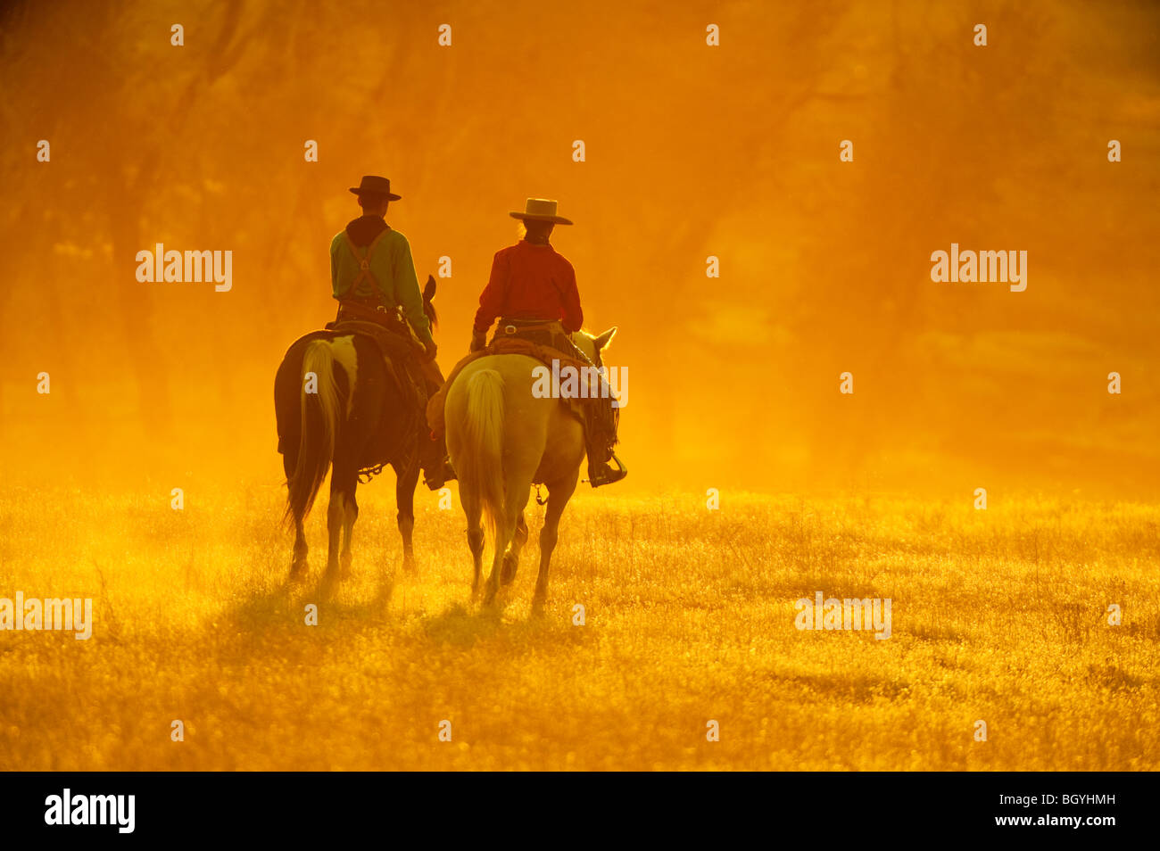 Adult male riders hi-res stock photography and images - Alamy