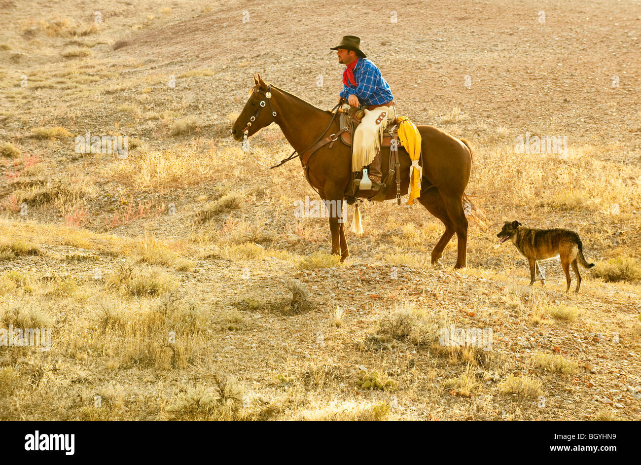 Rider and dog hi-res stock photography and images - Alamy
