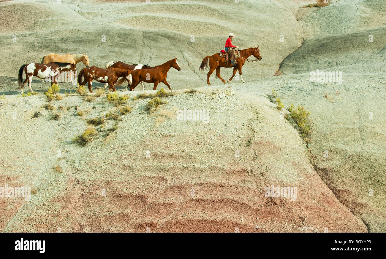 Wild rider hi-res stock photography and images - Alamy