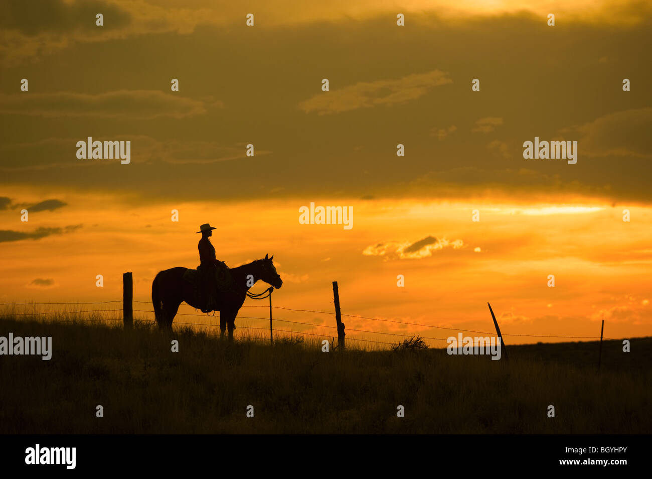 Horseback stand hi-res stock photography and images - Alamy