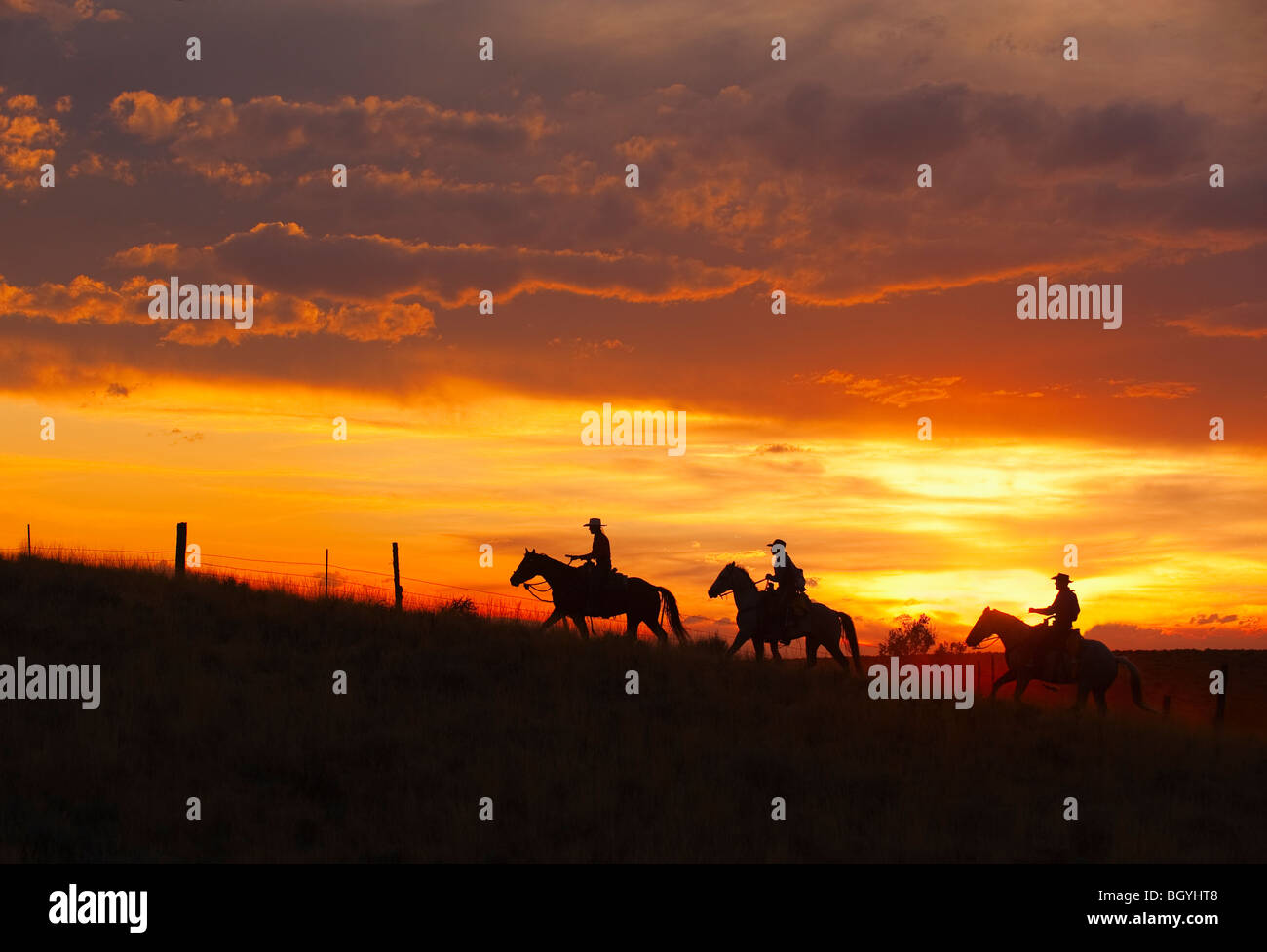Horseback riders at sunset Stock Photo - Alamy
