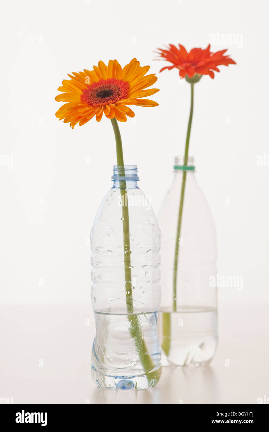 Vases with water hi-res stock photography and images - Alamy